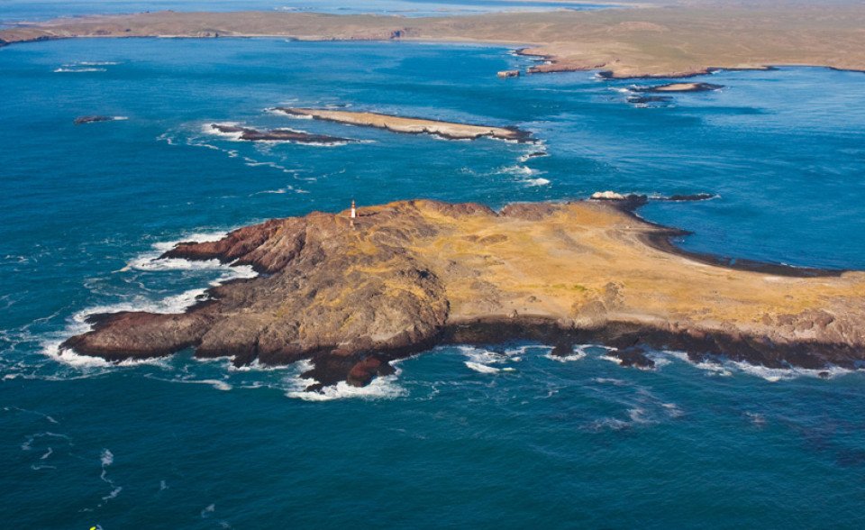 South America Cruises | Cruise To South America | Cruise118.com